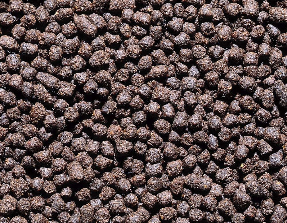 Störfutter | Teichfutter | Teich-, Zierfischfutter | Aqua | Nobby Pet ...