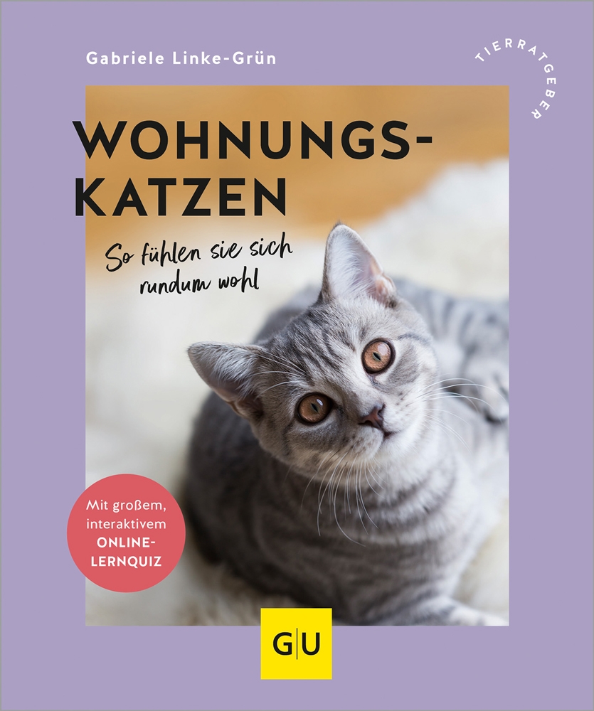 Wohnungskatzen, So fühlen sie sich rundum wohl | Neu | Nobby Pet Shop GmbH