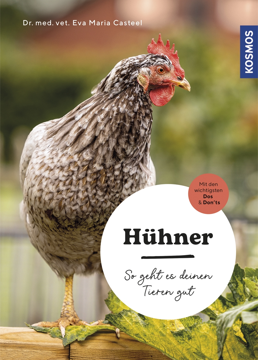 Casteel, Hühner | Neu | Nobby Pet Shop GmbH